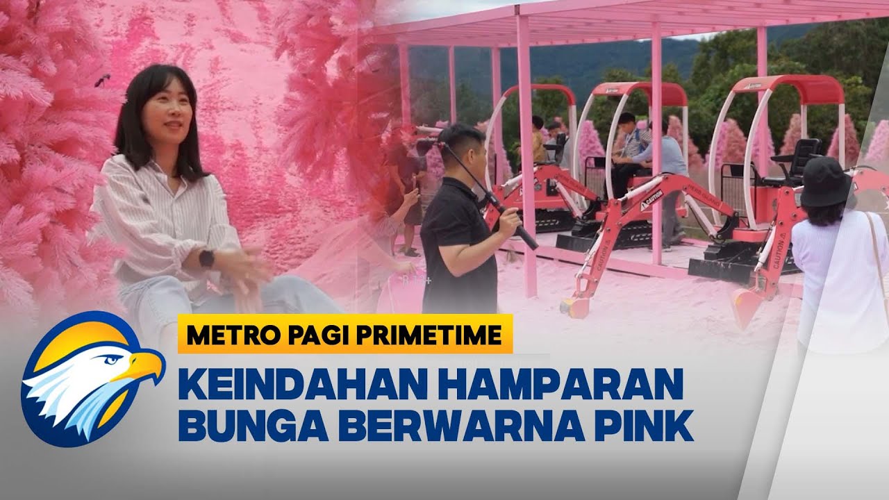 Keindahan Festival Bunga Pink Muhly di Korea Selatan | Metro Pagi ...