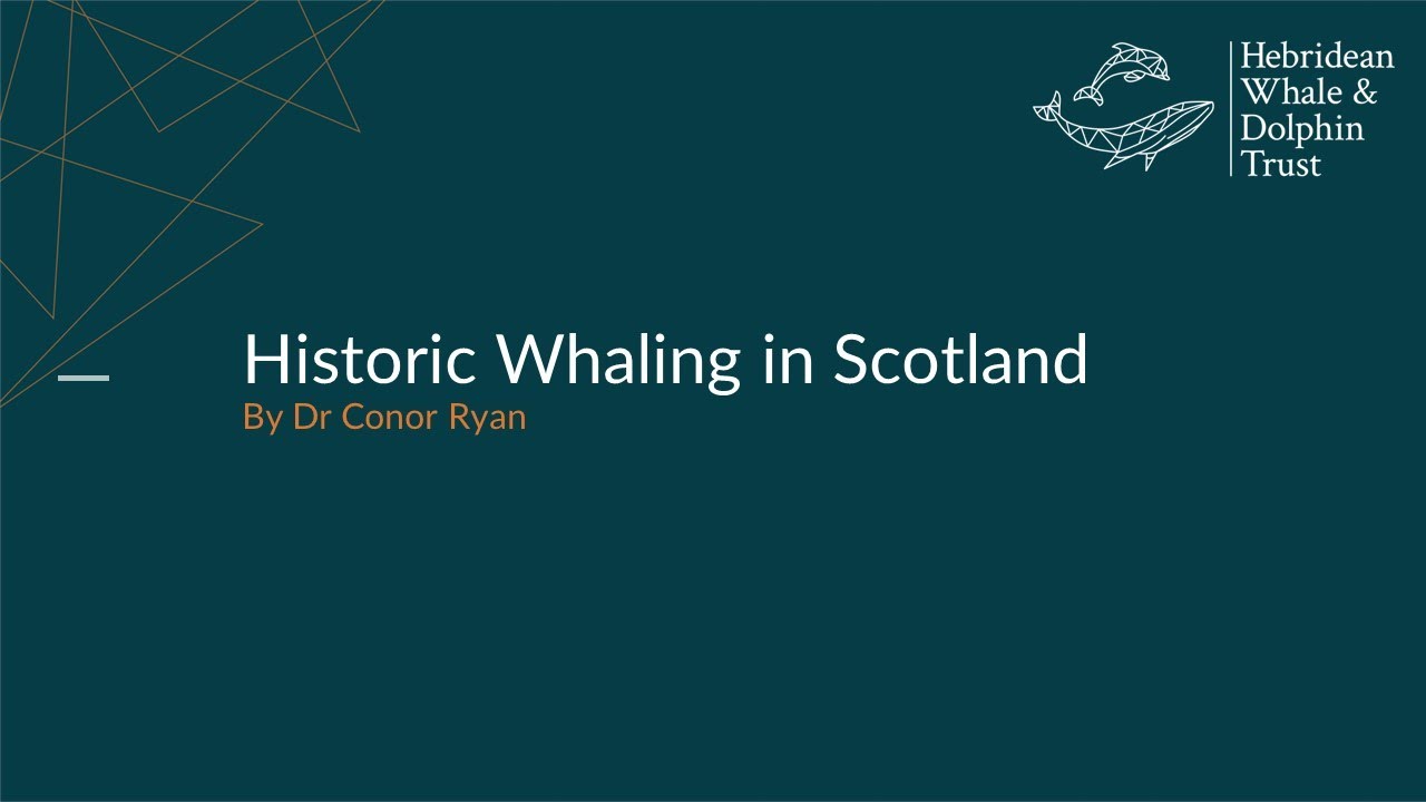 Historic Whaling in Scotland - YouTube