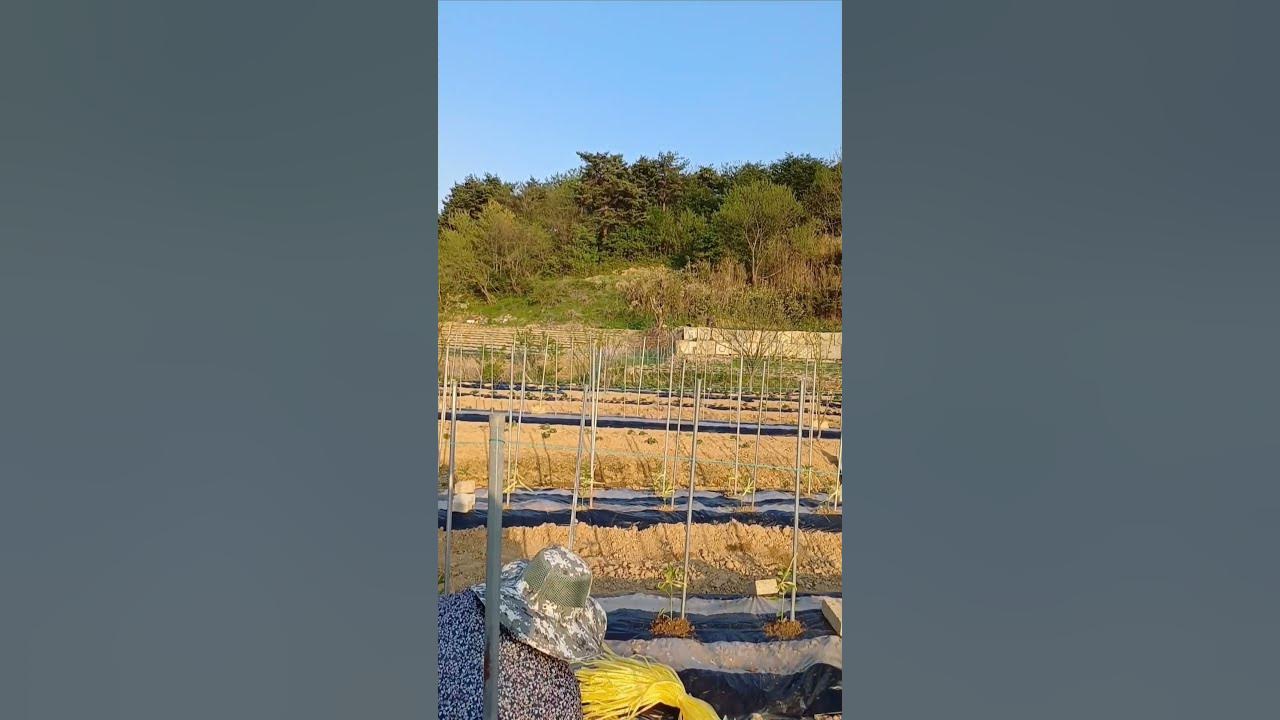 내가복음1장1절#창세기1장1절#천지창조#창조주하나님#주예수그리스도 - YouTube