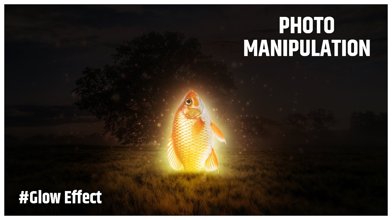 Glow Effect - Fish Photo Manipulation #gloweffect #photoshop - YouTube