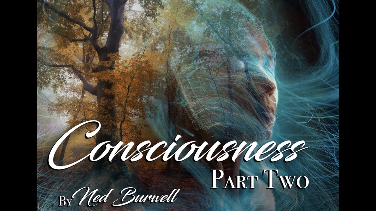 Consciousness Part Two with Al Lauzon - YouTube