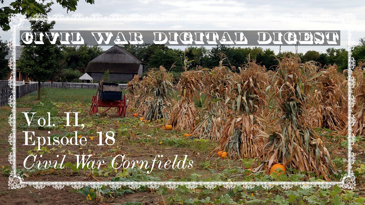 Civil War Cornfields - like Antietam - Vol. II, Episode 19 - YouTube