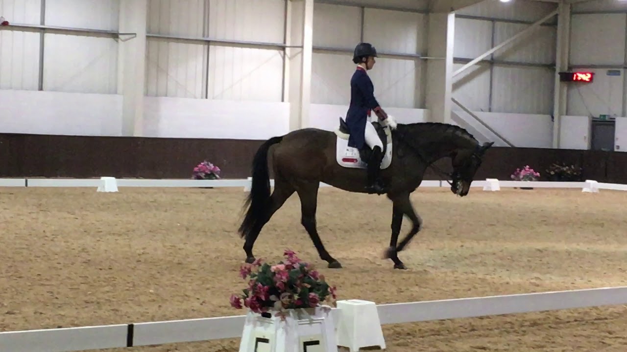 Charlotte D at Addington - YouTube