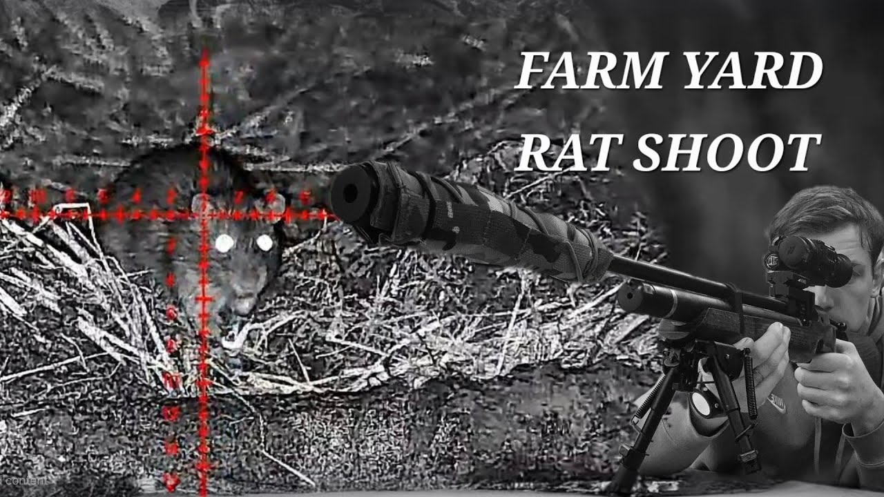 RAT SHOOTING FIRST TIME TRYING THE DNT ZULUS 3X12 SCOPE - YouTube