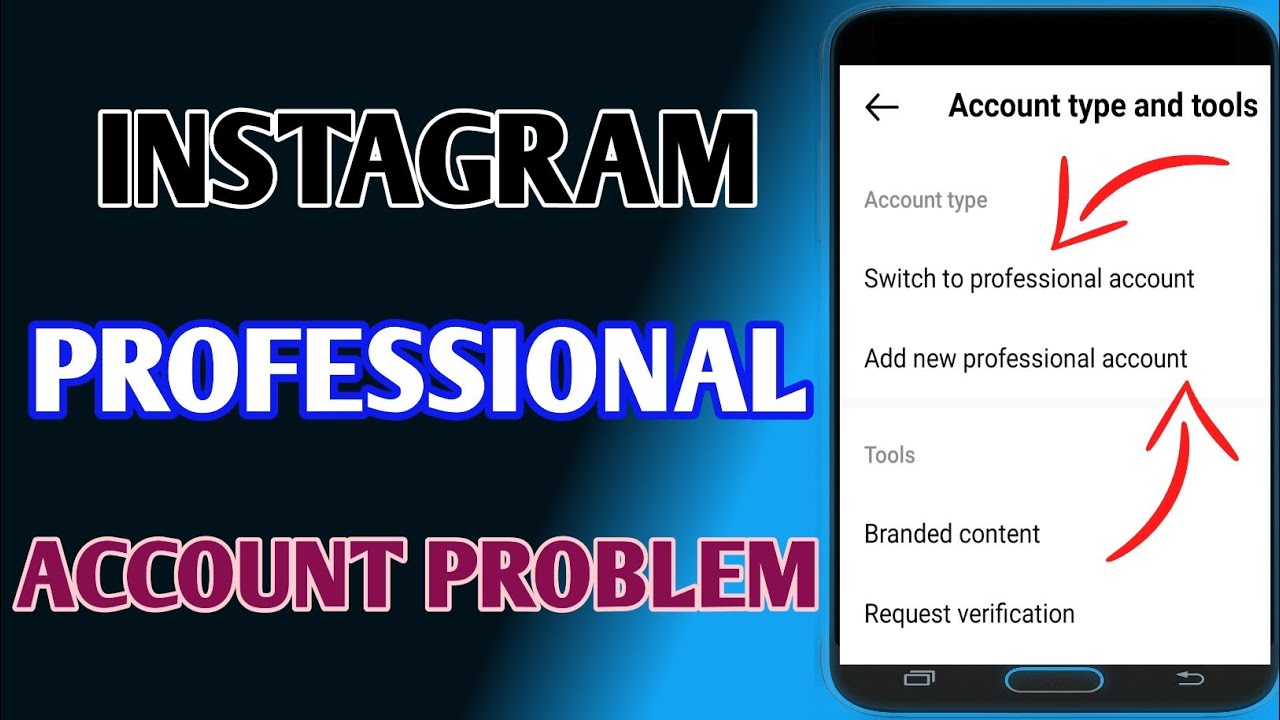 Instagram Professional Account Problem // Instagram Professional ...