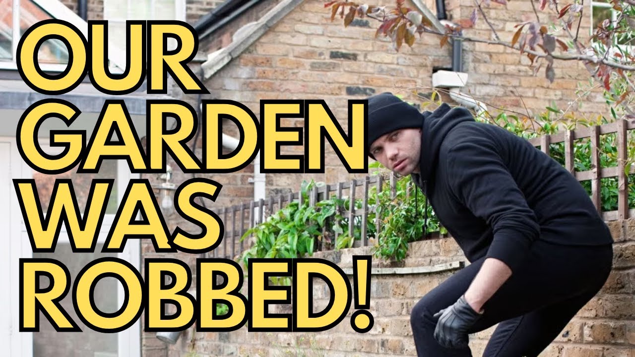 Our Garden Was Robbed!!! - YouTube