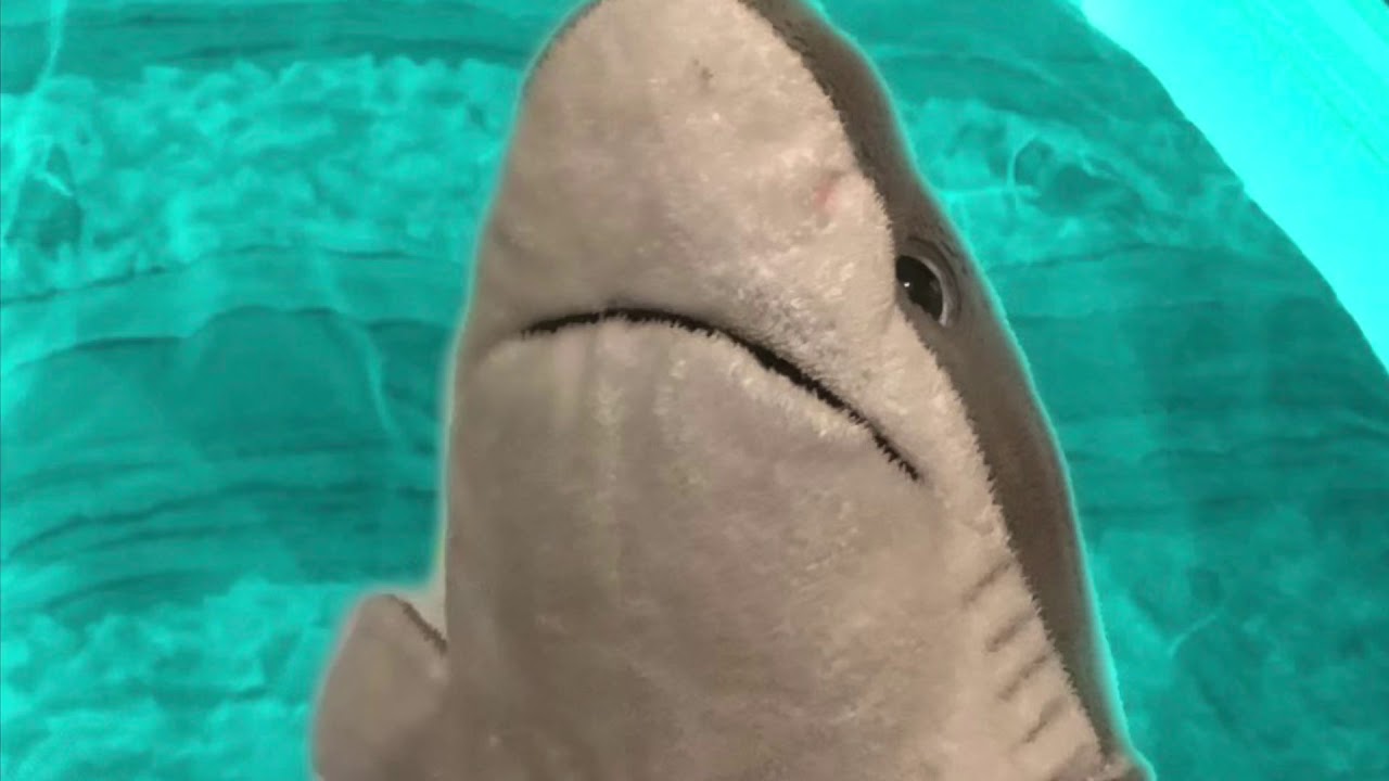 Shark bro full Outro music - YouTube