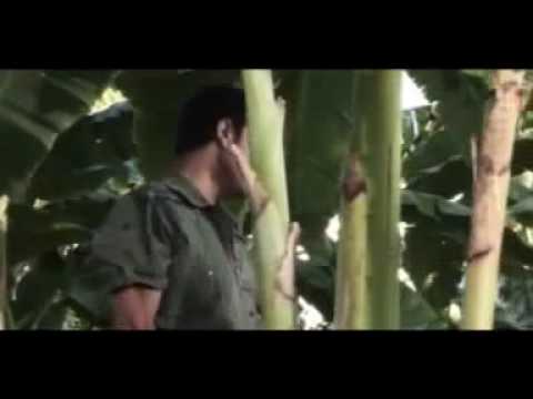 Melkan Rafet El Roman Yana Yakila HD