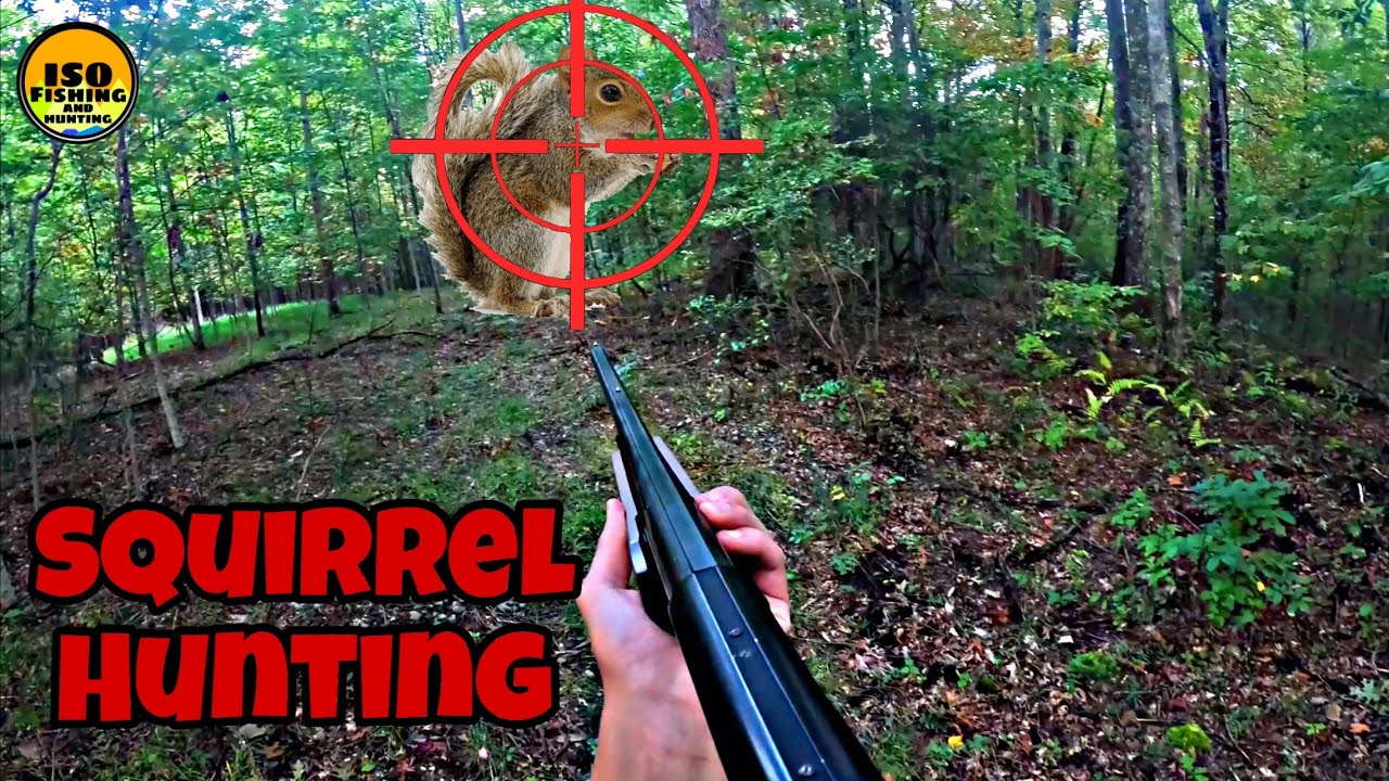 Kentucky Gray Squirrel Hunting ADVENTURE!!! - YouTube