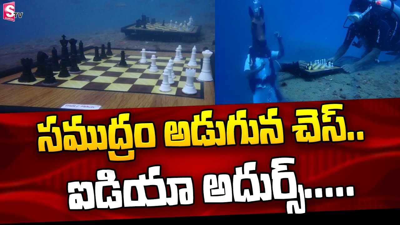 Scuba Divers Play Chess Underwater At The 44th International Chess ...