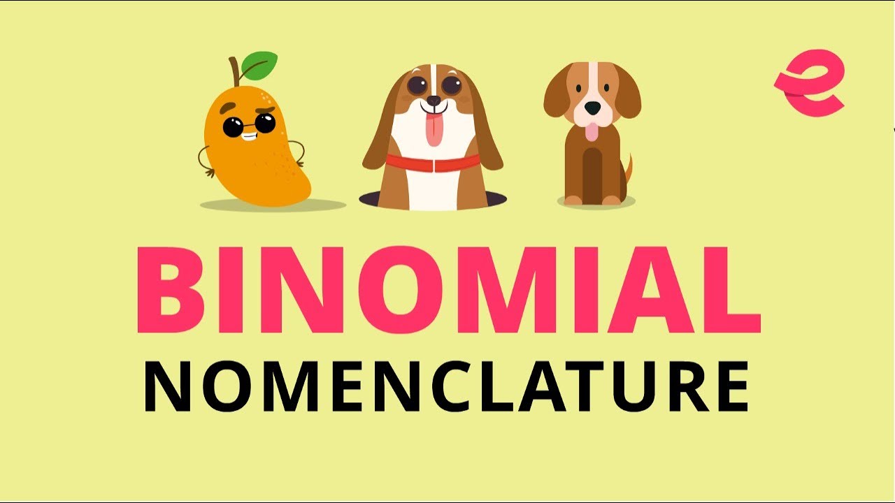 Binomial Nomenclature