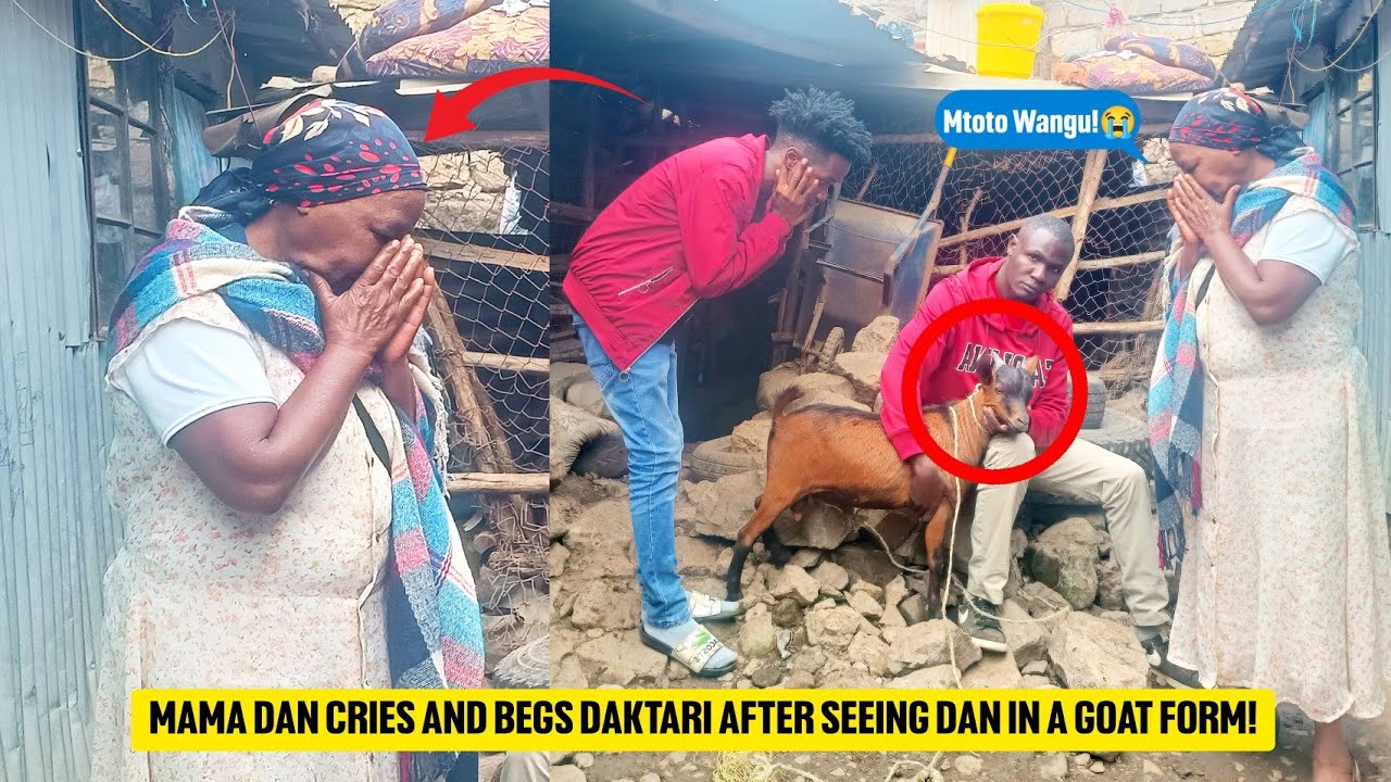 Ogopa Daktari!🙆💔 Mama Dan Cries as He Saw FBI Dan in a "Goat"🐐 Form ...