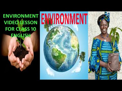 Environment 10th class English Unit-6 Reading-A Wangari Maathai ...