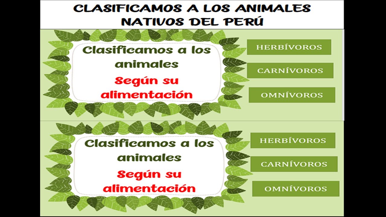 Animales Vertebrados e Invertebrados / Herbivoros, Carnivoros y ...