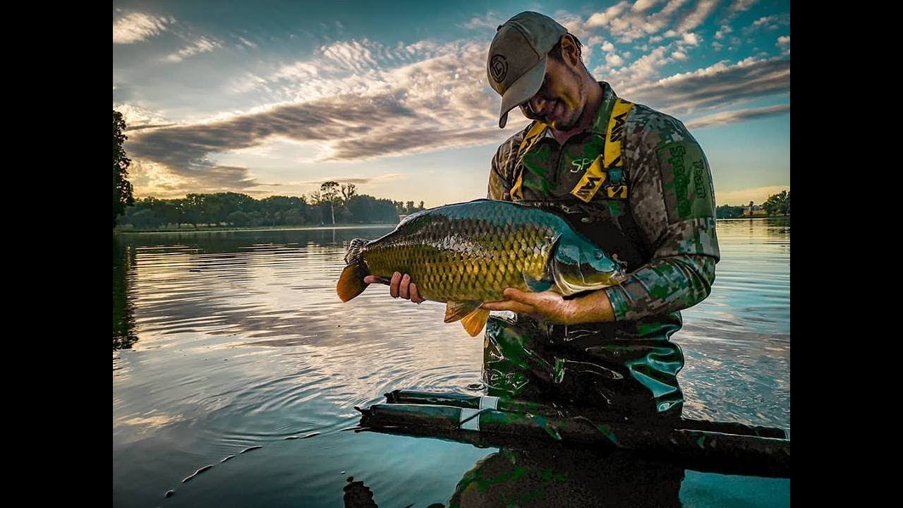 Carp fishing Florida lake - Urban fishing South Africa - YouTube