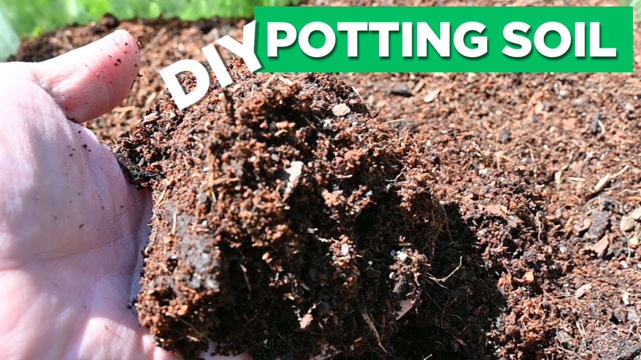 How to Make a DIY Soil Mix for Vegetable Garden Transplants - YouTube