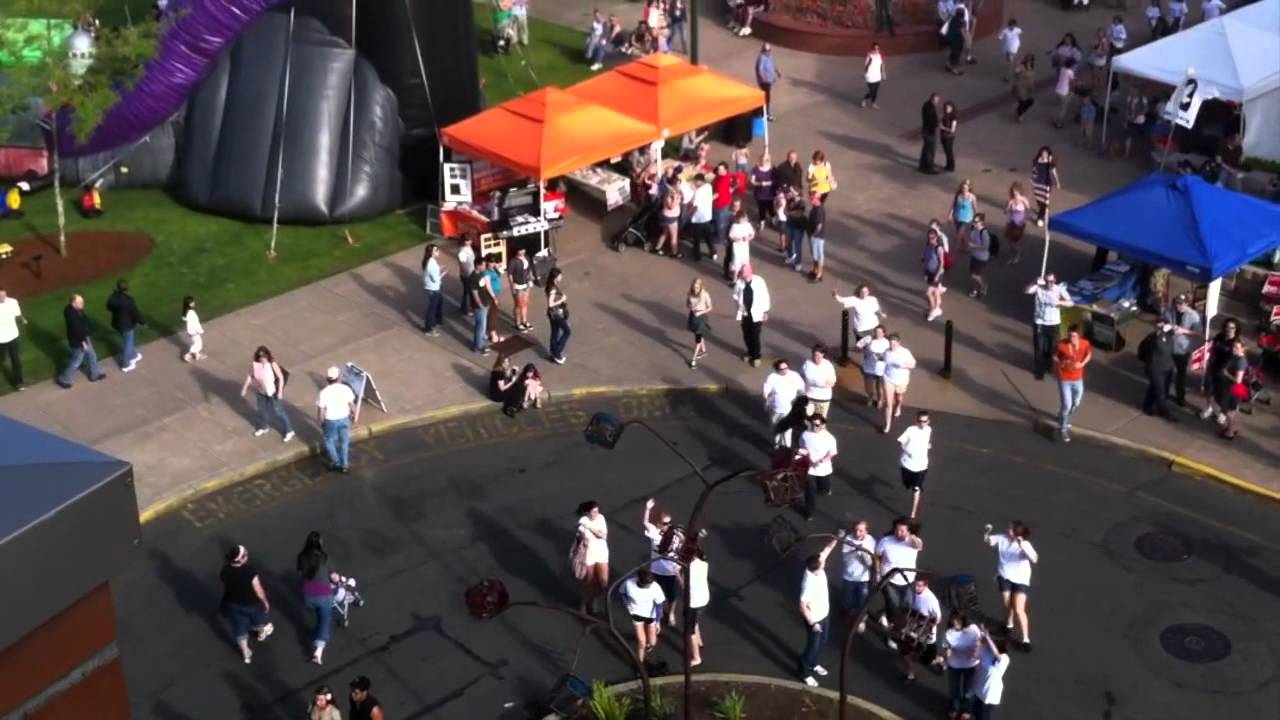 Elements Frozen Yogurt Flash Mob Plank Fest at Meeker Days 2011 - YouTube