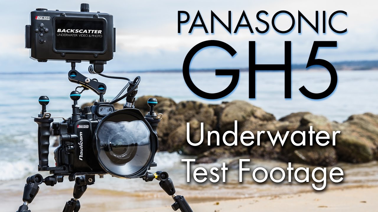 First Dives with Panasonic GH5 - Underwater Test Footage - YouTube
