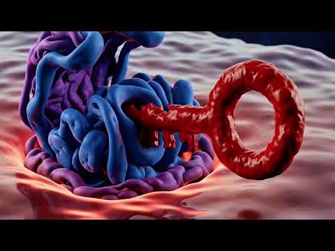 Kusursuz Taklitçi: Zihnin Dopamin Tuzağı (Nikotin)