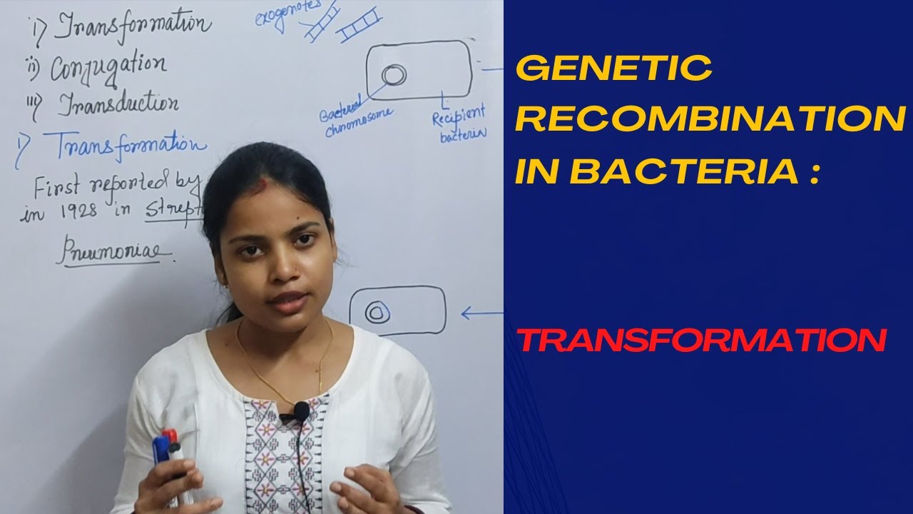 Genetic recombination in bacteria: Transformation | Horizontal Gene ...