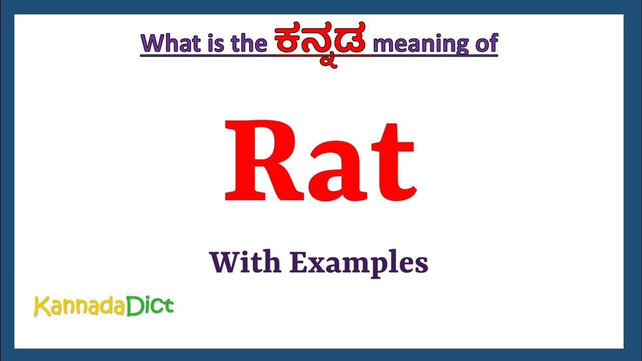 Rat Meaning In Kannada Rat In Kannada Rat In Kannada Dictionary rat-meaning-in-kannada-rat-in-kannada-rat-in-kannada-dictionary