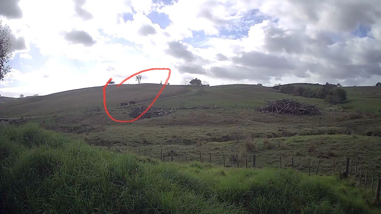 After an on-site search turned up nothing, the webcam revealed the ...