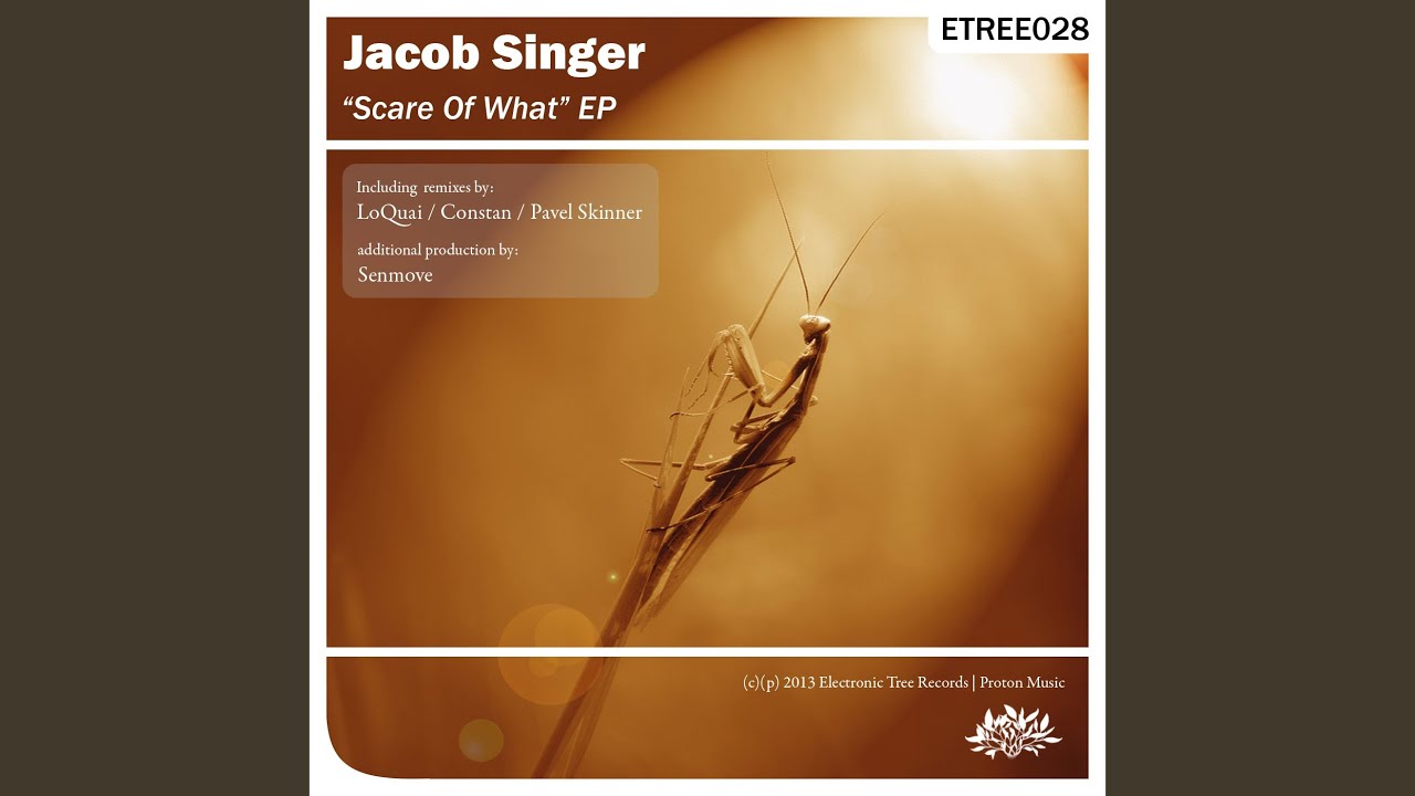 Scare of What (Constan Remix) - Jacob Singer: Song Lyrics, Music Videos ...