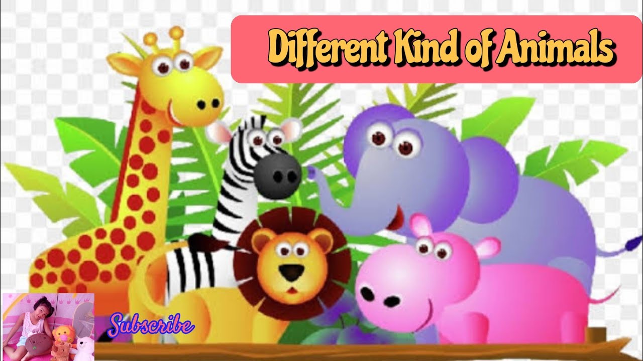 Let's Learn About Animals! - YouTube