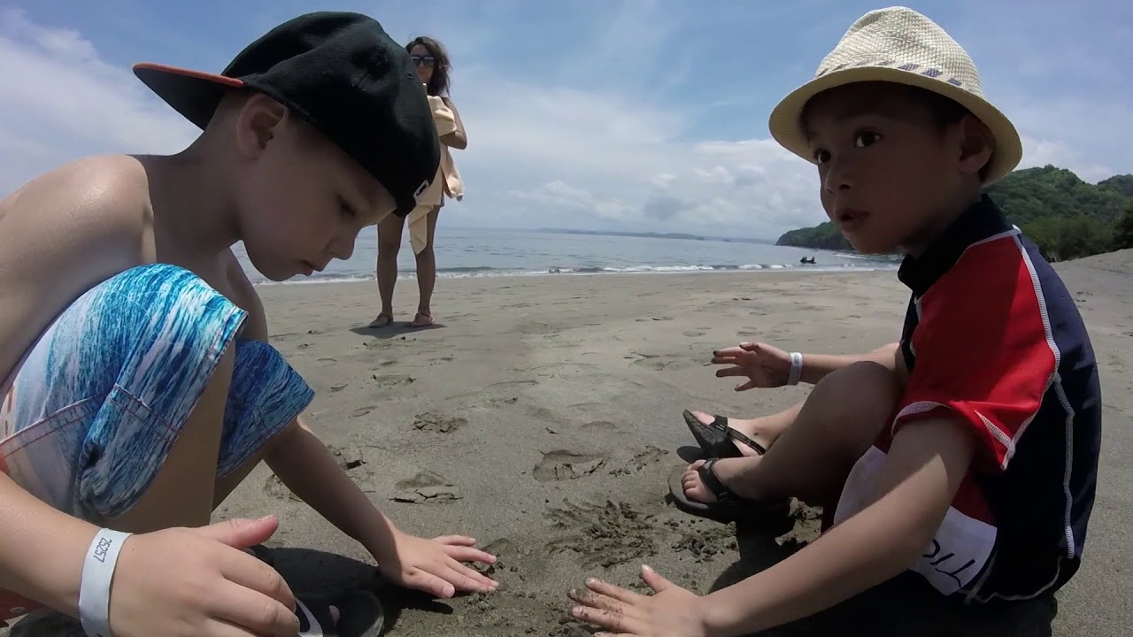 Costa Rica Monkey Pool Party - YouTube