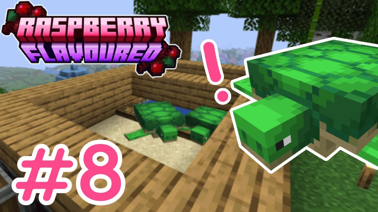 Turtles are useful now!! | Raspberry Flavoured SMP #8 - YouTube