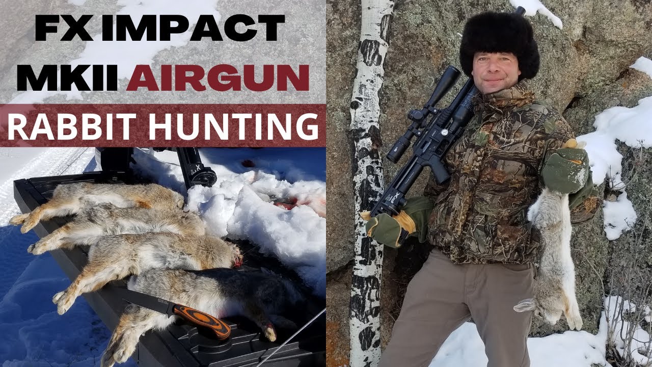 AIRGUN RABBIT HUNTING, CO with the FX IMPACT MKII - YouTube