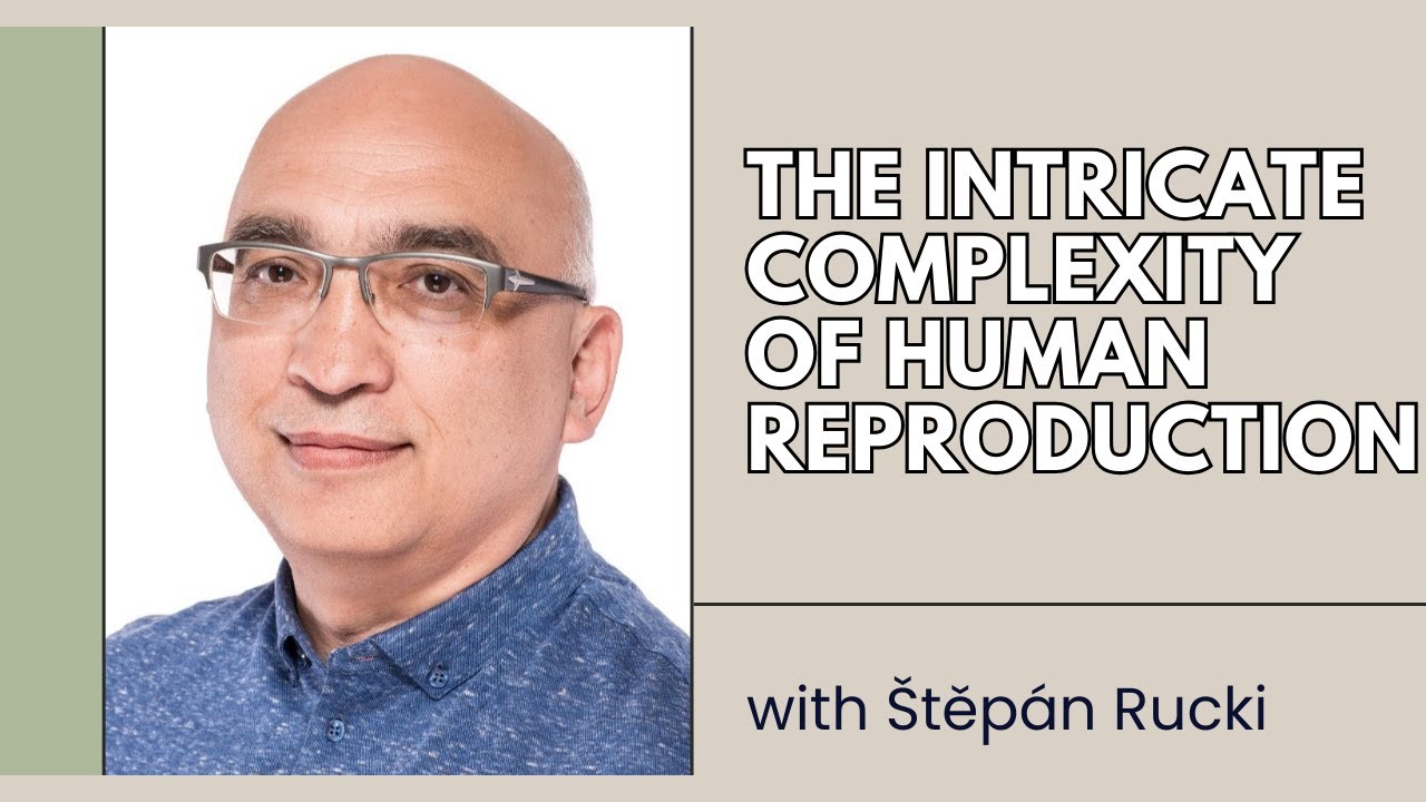 The Intricate Complexity of Human Reproduction - Štěpán Rucki - YouTube