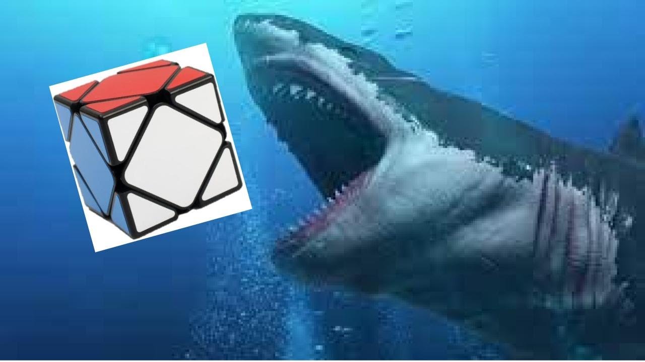 White Shark Absolutely Shreds Rubiks Cube Record - YouTube