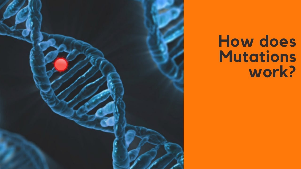 How does Mutations work? - YouTube