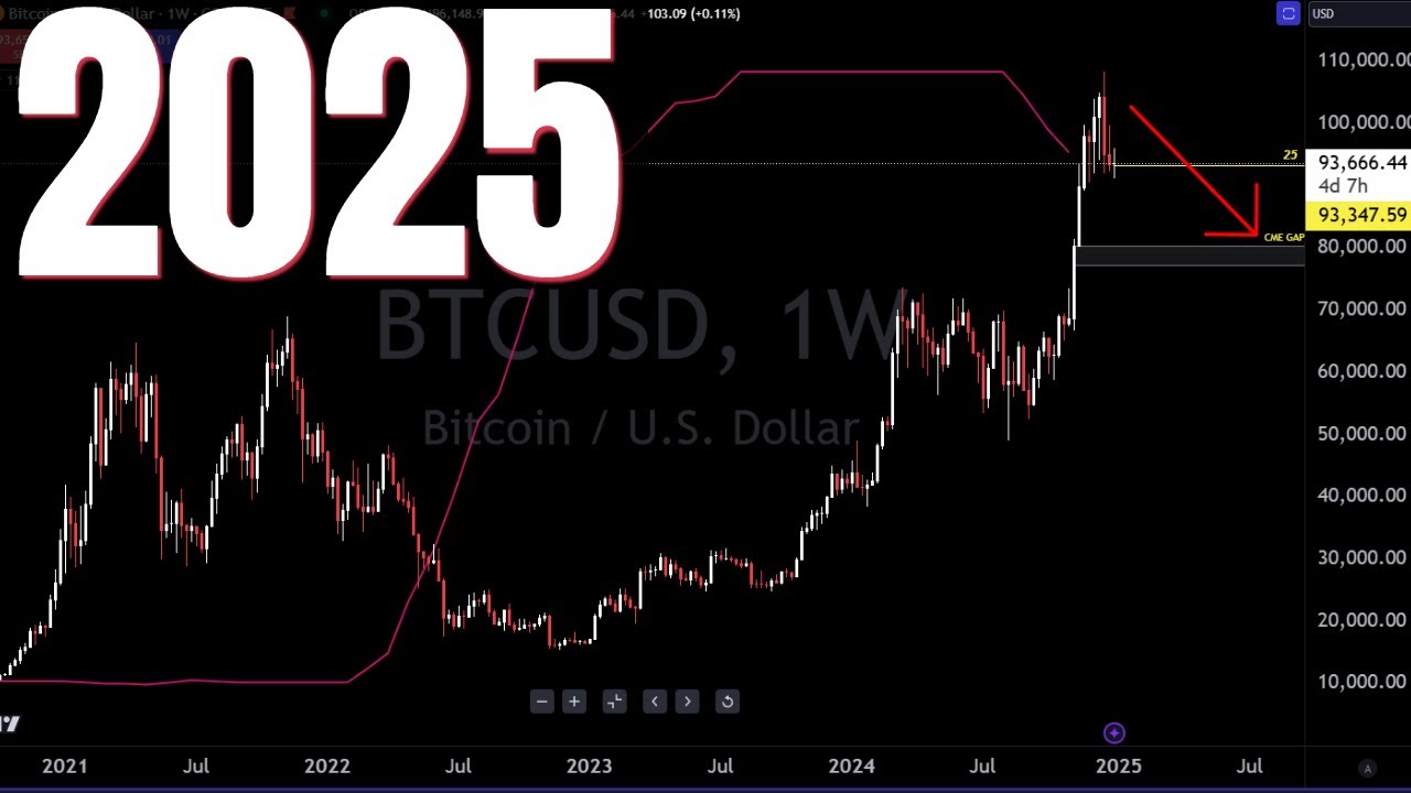 Watch This in 2025 #Bitcoin #StockMarket - YouTube