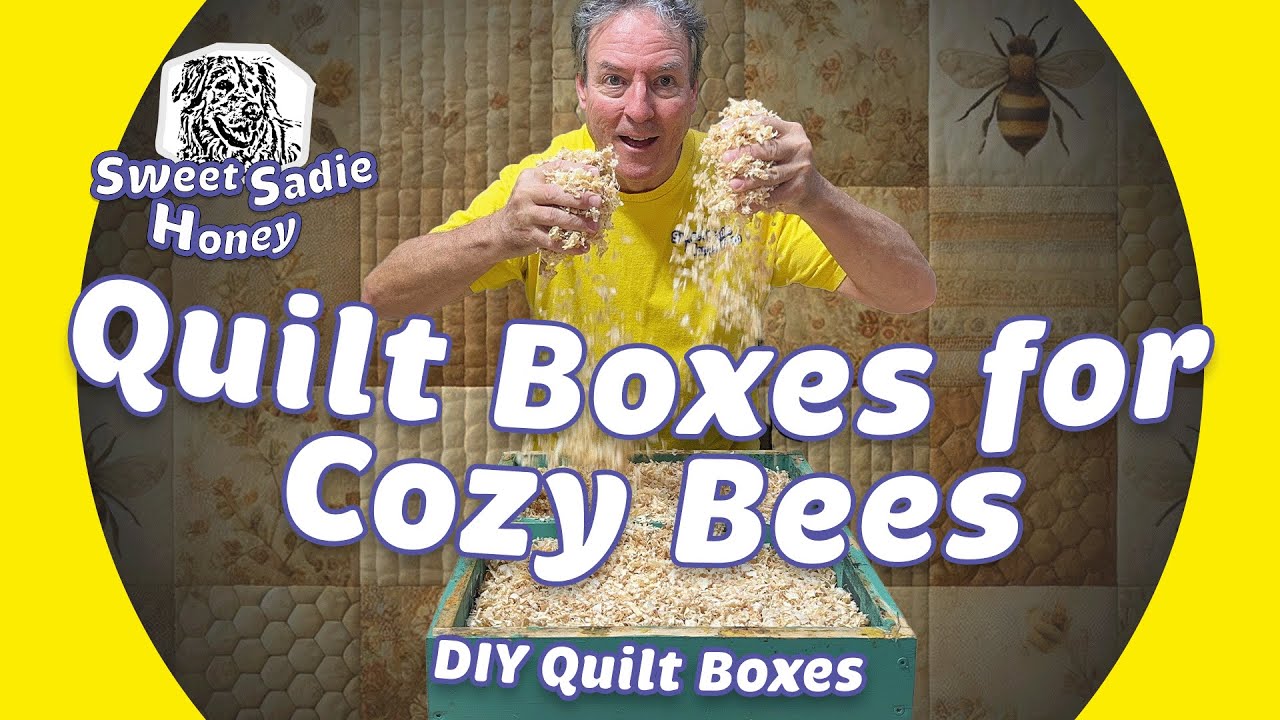 DIY Quilt Boxes for Beehives: Keeping Bees Cozy All Winter! - YouTube