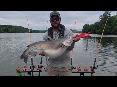 Catching Some Chunky Catfish- Huge Bellies - YouTube
