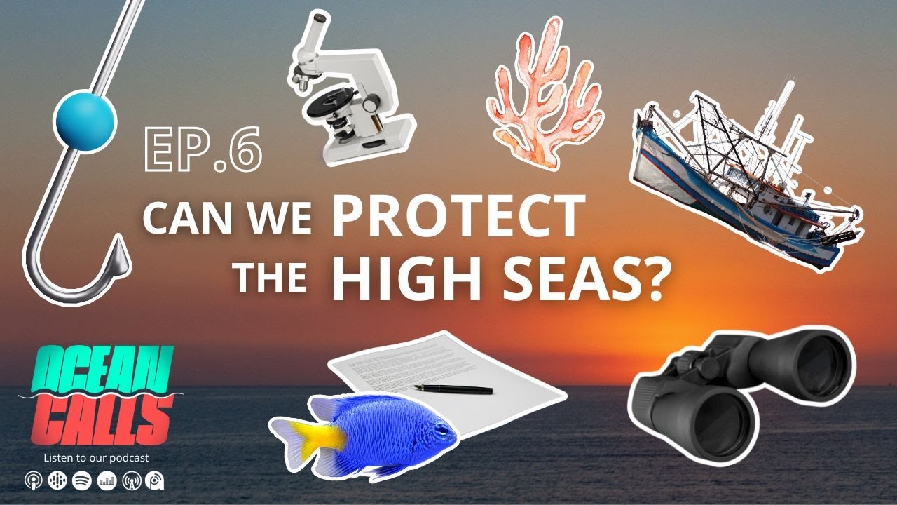 Can we protect the high seas? | Ocean Calls Podcast EP6 - YouTube