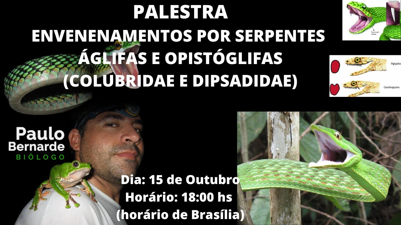 PALESTRA ENVENENAMENTOS POR SERPENTES ÁGLIFAS E OPISTÓGLIFAS ...