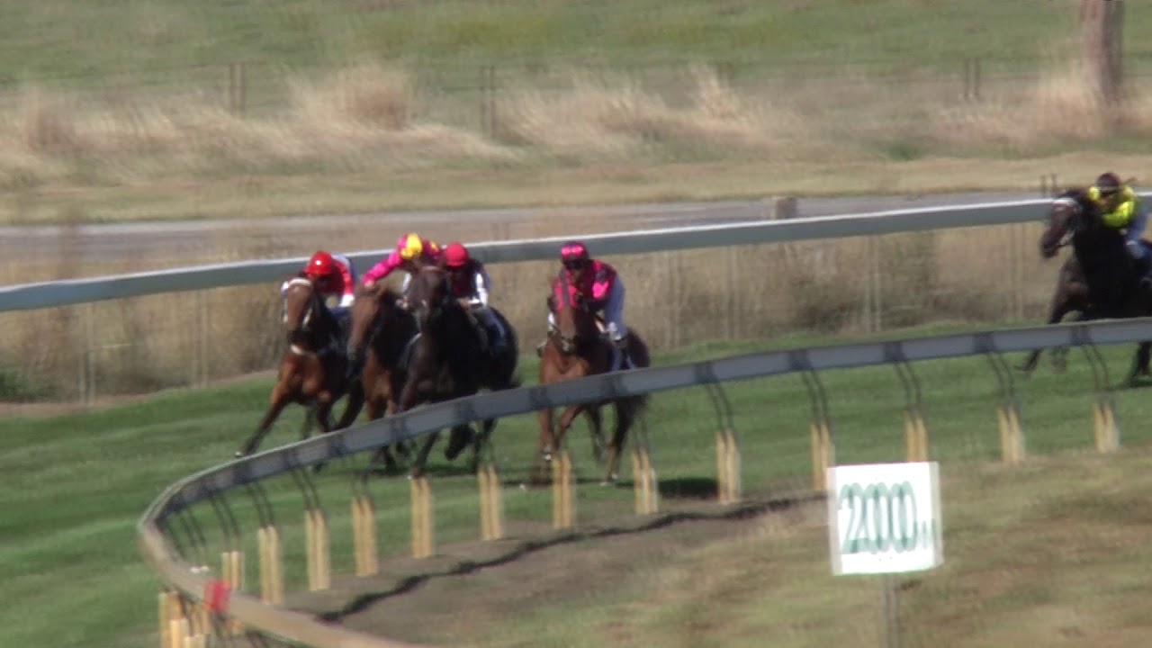Race 4 Dederang 14th March 2020 - YouTube