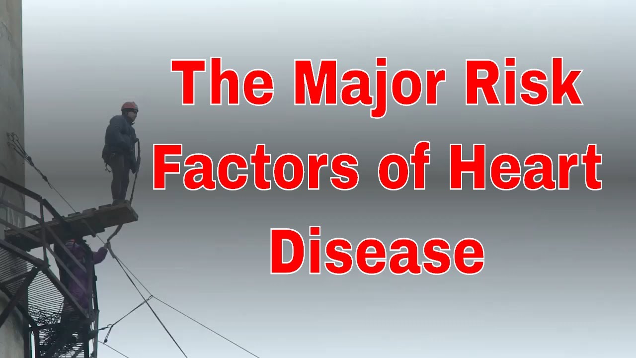 Heart Disease : The Major Risk Factors of Heart Disease - YouTube