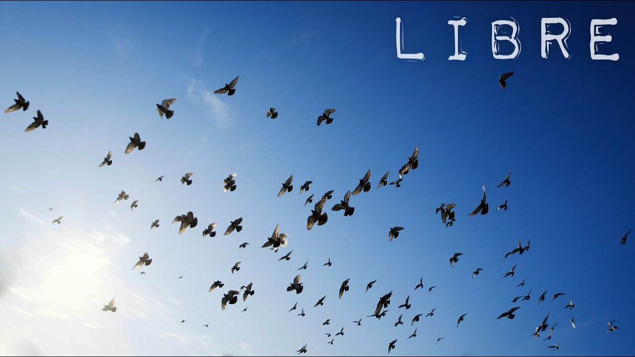 Libre - Relax Piano Music. - YouTube Music