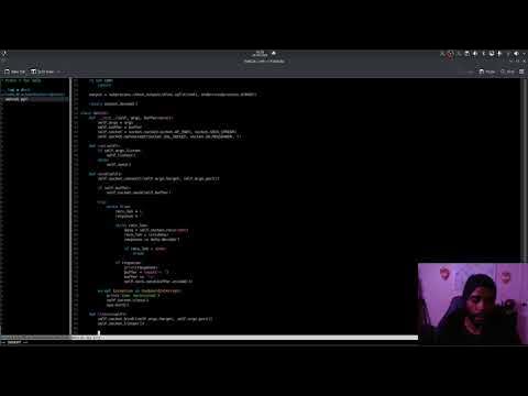 Black Hat Python: Chapter2 - Netcat - YouTube
