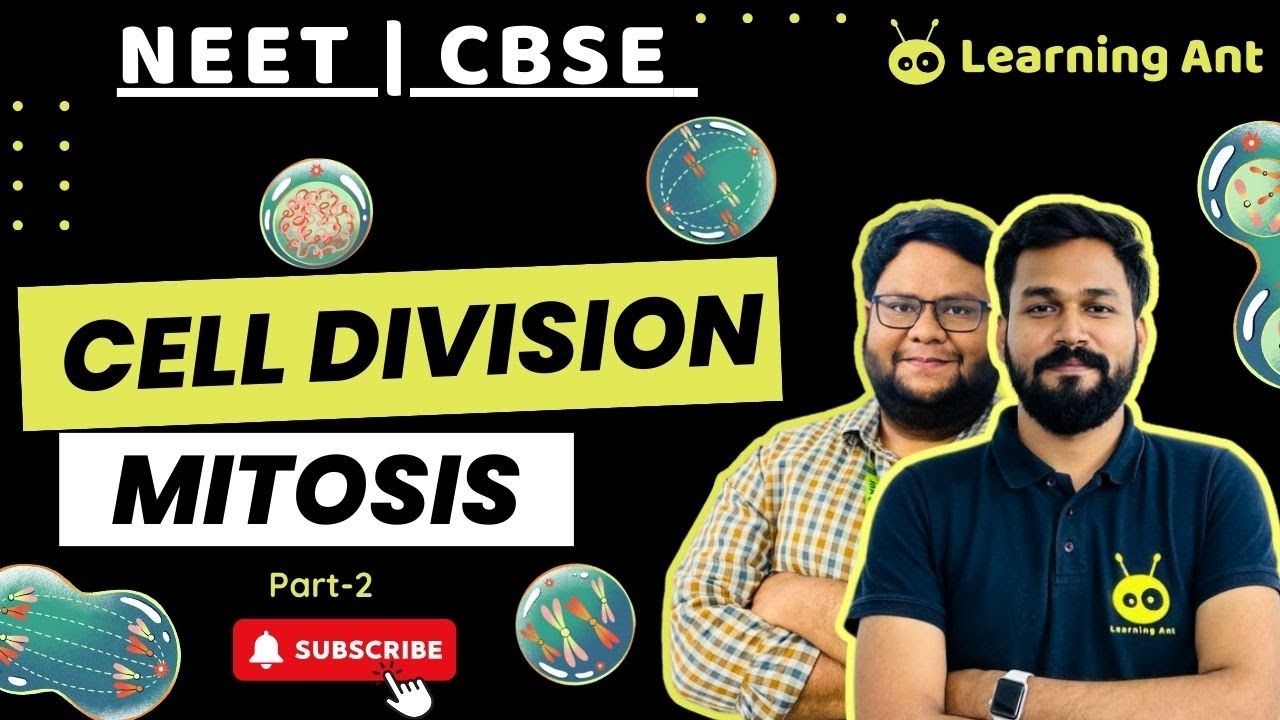 Mitosis 🧬 | Cell Cycle & Cell Division 02 | NEET | CBSE | Class 11 ...