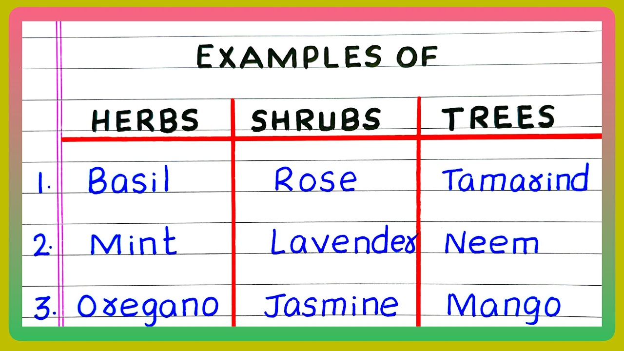 EXAMPLES OF HERBS SHRUBS AND TREES | 5 | FIVE EXAMPLES OF HERBS SHRUBS ...