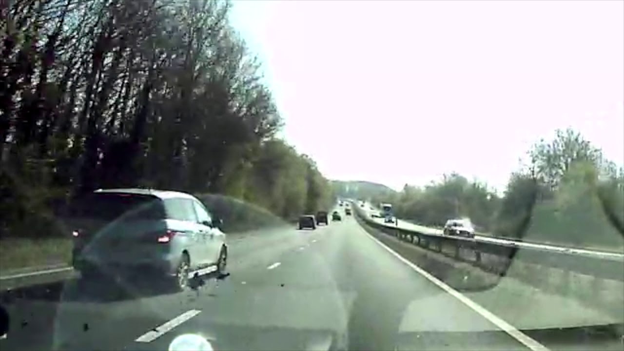WARNING: dash cam captures video of dog being run over - YouTube