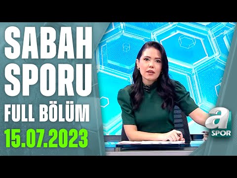 Haldun Domaç: \