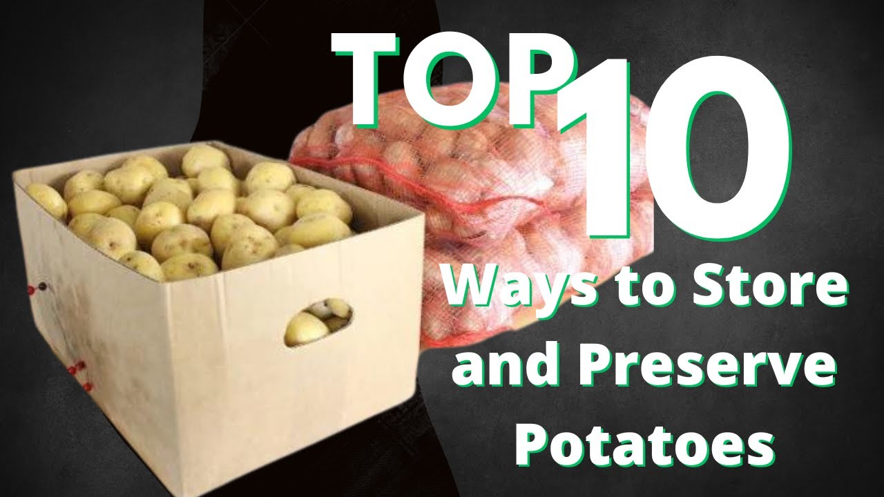 Top 10 Ways to Store and Preserve Potatoes - Vlogmas Day 1 - YouTube