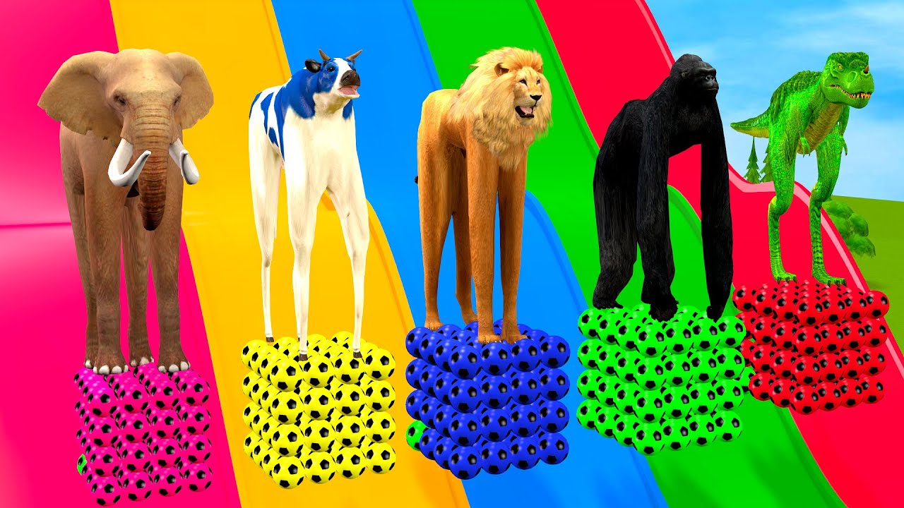 Long Slide Game With Cow Elephant Gorilla Buffalo Tiger 3d Animal Game ...