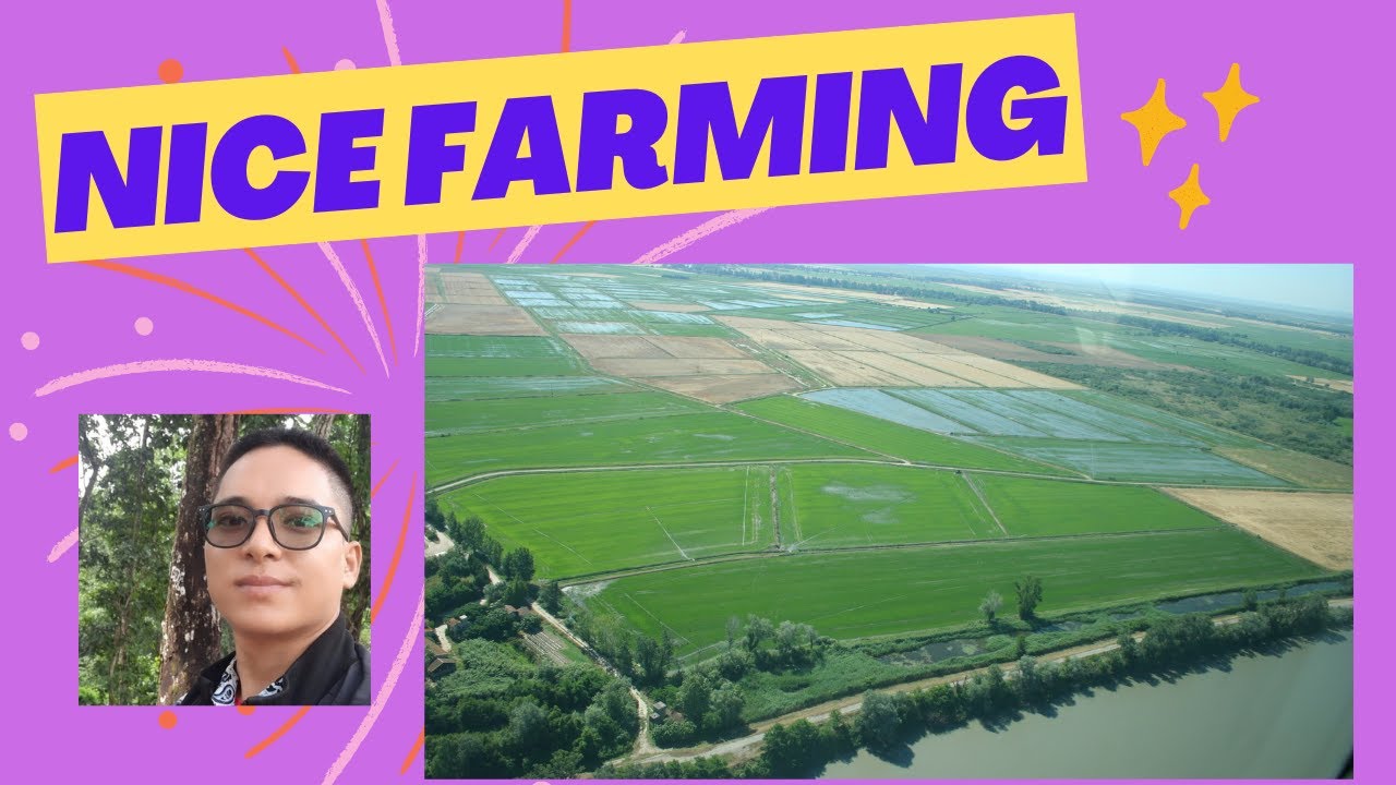 Agriculture Farming Near River & Village ।। - YouTube